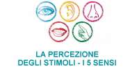 La percezione degli stimoli - Docsity
