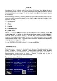 Malattie infettive: TORCH - Docsity