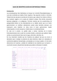 Identificacion de las enterobacterias | Apuntes de Bacteriología - Docsity
