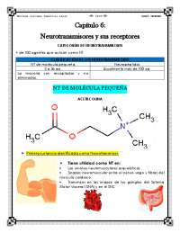 Resumen ilustrado capítulo 6: Neurotransmisores Purves Dale [Mejorado ...
