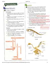 EVOLUCION DE LOS ANIMALES - Docsity