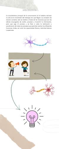 Sinapsis neuronal y comunicacion - Docsity