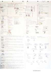 Caracteristicas de cada orden en hexapoda - Docsity