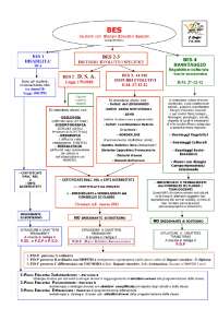 TFA sostegno 2022 schemi e mappe concettuali BES Bisogni Educativi Speciali | Schemi e mappe ...