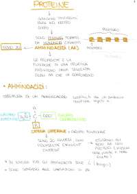 Mappa concettuale proteine - Docsity