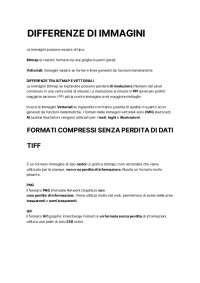Immagini Bitmap (raster) e vettoriali e i loro formati - Docsity