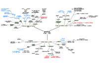 Mappa concettuale: Seneca - Docsity