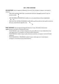 Assi e piani anatomici - Docsity