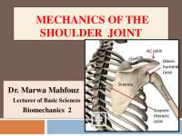 Mechanics of shoulder - Docsity