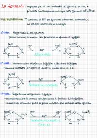 Schema delle tappe della glicolisi. | Schemi e mappe concettuali di ...