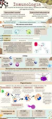 Infografía Inmunidad Innata | Esquemas y mapas conceptuales de Inmunología | Docsity