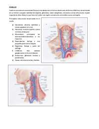 Tórax y frémito vocal e inspección de cuello - Docsity