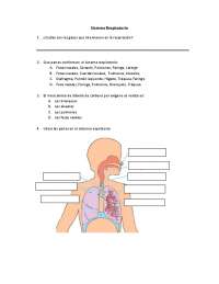 SISTEMAS DEL CUERPO HUMANO - Docsity