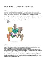 Scheletro assile ~ bacino | Sbobinature di Anatomia | Docsity