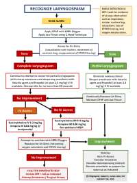 Manejo de laringoespasmo | Guías, Proyectos, Investigaciones de ...