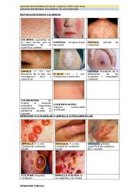 Lesiones elementales - Docsity