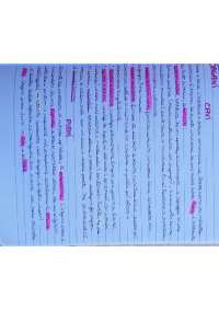 Anatomia umana: organi cavi e pieni - Docsity