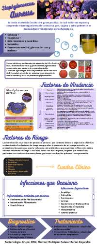 Infografia Staphylococcus | Esquemas y mapas conceptuales de Bacteriología | Docsity