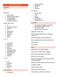 Semio cv y ab, semio cv y ab descripcion general semiologica - Docsity