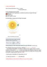Le bilan radiatif terrestre - Docsity