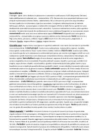 Riassunto esame petrografia (prof Silvio Mollo) | Schemi e mappe ...