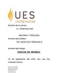 Discos de Merkel anatomia - Docsity