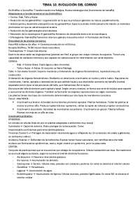 Tema 10. EVOLUCIÓN DEL CORMO | Apuntes de Botánica y Agronomía | Docsity