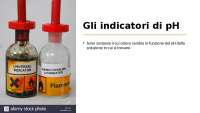 Indicatori acido base - Docsity