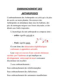 EMBRANCHEMENT DES ARTHROPODES - Docsity