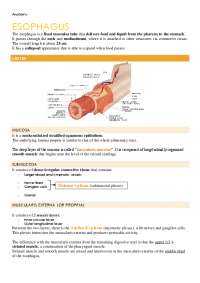 Anatomia dell'Esofago - Docsity