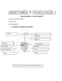 Guía de estudio n°4 anatomia y fisiologia - Docsity