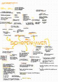 Schopenhauer schema concetti fondamentali | Schemi e mappe concettuali di Filosofia | Docsity