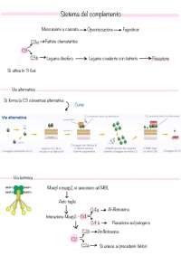 Sistema del complemento - Docsity