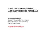 ARTICULATIONS DU BASSIN | Schémas Urologie - Docsity