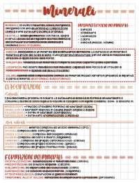 Minerali e rocce, scienze della terra | Schemi e mappe concettuali di Scienze della Terra | Docsity