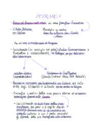 Schema riassuntivo su Petrarca | Schemi e mappe concettuali di Italiano | Docsity