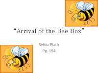 Arrival of the Bee Box - Sylvia Plath | Slides English Literature | Docsity