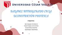 BALANCE NITROGENADO EN LA DESNUTRICIÓN PROTEICA | Apuntes de Bioquímica ...