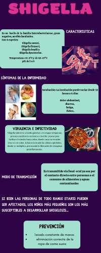 Infografia sobre Shigella | Apuntes de Enfermería | Docsity