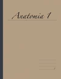 Schemi e immagini della spalla: ossa muscoli articolazione | Schemi e mappe concettuali di ...