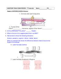 ANATOMY FINAL EXAM REVIEW 1st Semester ... | Lecture notes Anatomy ...