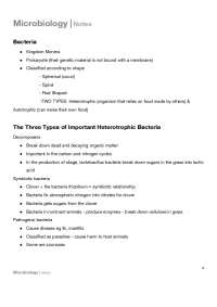 Microbiology |Notes | Schemes and Mind Maps Microbiology | Docsity