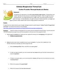 Cellular Respiration Virtual Lab | Exams Cell Biology | Docsity