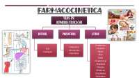 Mapa conceptual de la FARMACOCINETICA | Esquemas y mapas conceptuales de Farmacología | Docsity