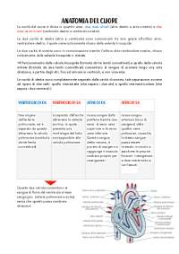 Cuore anatomia, schema, sintesi | Schemi e mappe concettuali di ...