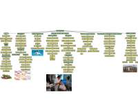 Es un mapa conceptual de microbiologia xd | Esquemas y mapas conceptuales de Microbiología - Docsity