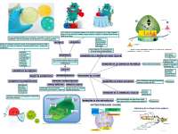 Es un mapa conceptual de microbiologia xd | Esquemas y mapas conceptuales de Microbiología - Docsity