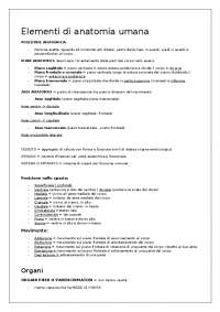 ELEMENTI di ANATOMIA: posizione, piani, assi anatomici, organi pieni e ...