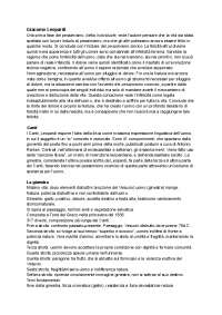 Riassunto dell'intero programma di Italiano del V superiore | Schemi e mappe concettuali di ...