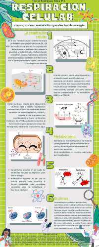 Respiración celular | Apuntes de Biología | Docsity